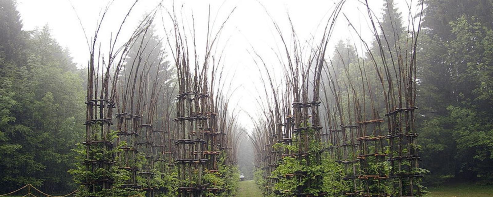 BBC about the Tree Cathedral as “a place of worship that’s both divine ...
